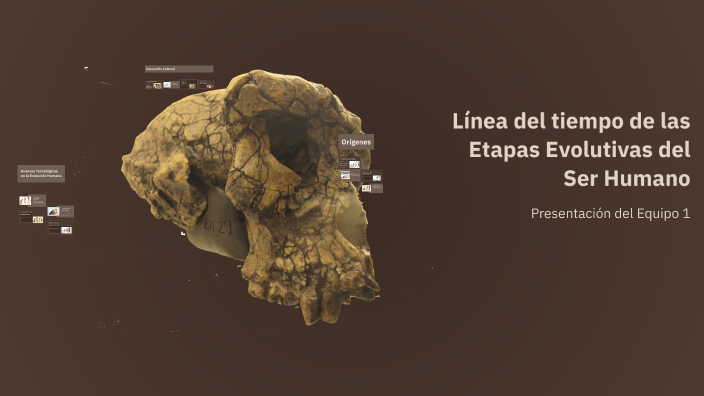 Línea del tiempo de las Etapas Evolutivas del Ser Humano by Pamela Lucero Barreda on Prezi