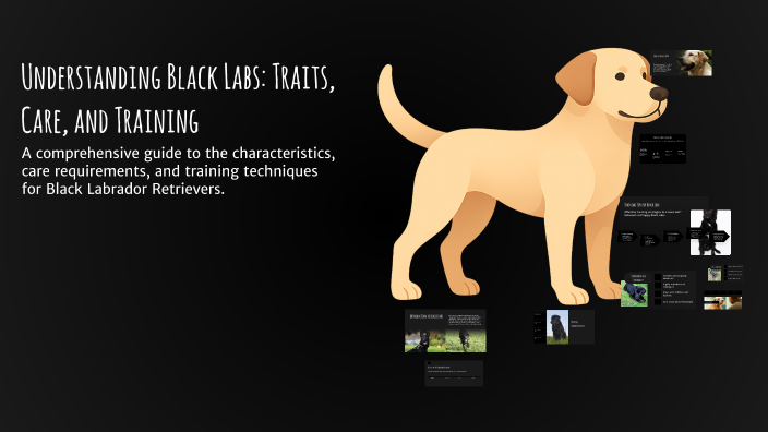 Understanding Black Labs: Traits, Care, and Training by Gia Tramontana ...