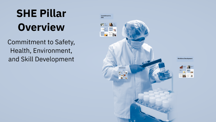 SHE Pillar Overview by Hemendra Singh on Prezi