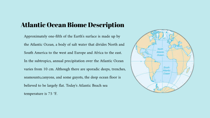 Atlantic Ocean food web by Keela Dumont on Prezi