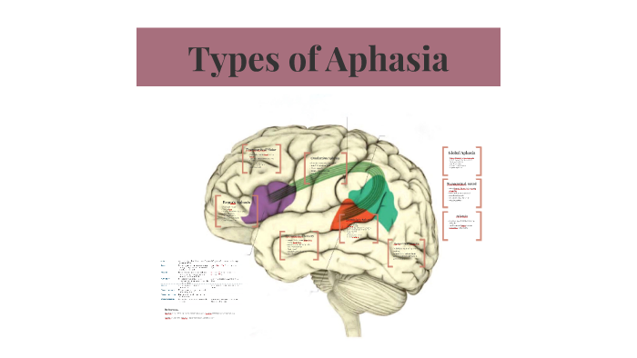 Types of Aphasia by Jasmine Thai on Prezi