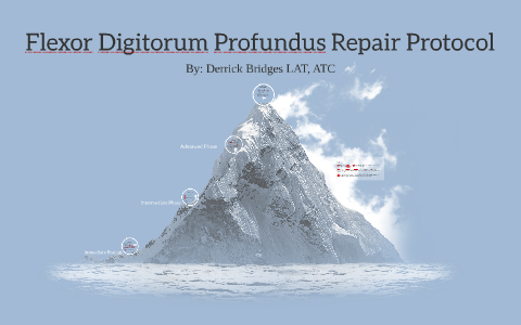 FDP Repair Protocol by Derrick Bridges on Prezi