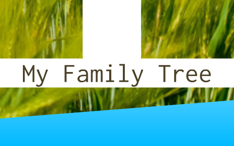 Family Tree by Jenny Murtha on Prezi