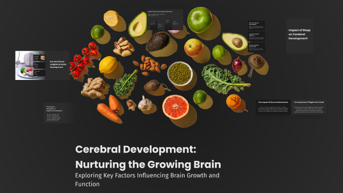 Cerebral Development: Nurturing the Growing Brain by Jamyang Tshomo on ...