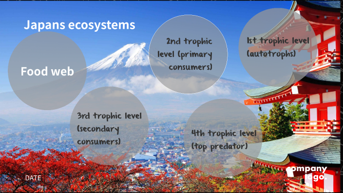 Japans ecosystems by nathan maher on Prezi