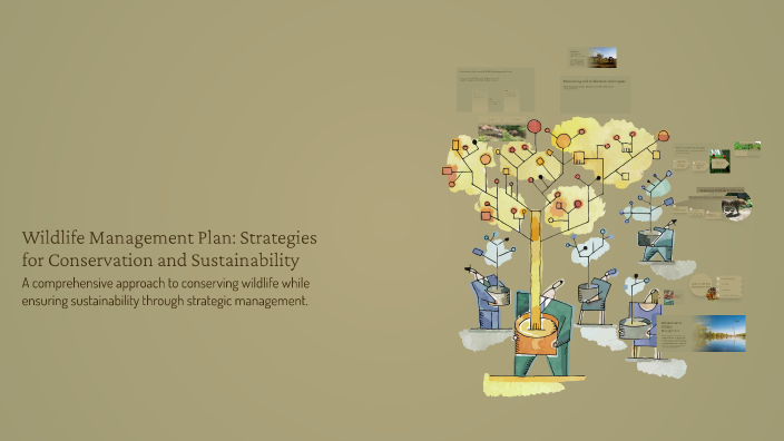Wildlife Management Plan: Strategies for Conservation and ...
