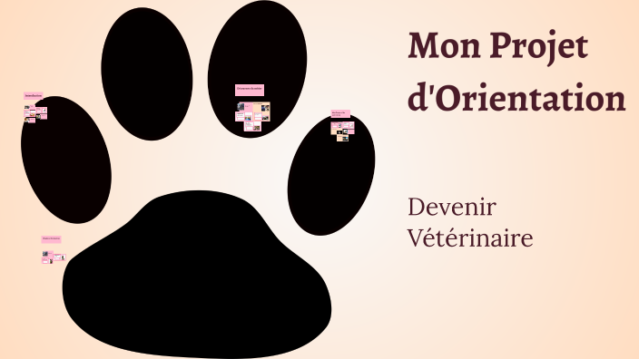 Mon Projet d'Orientation by kenza gorskie on Prezi