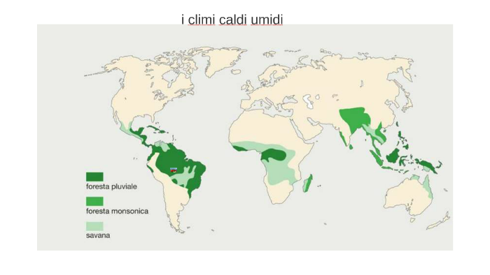 i climi caldi umidi by Medea Monti on Prezi