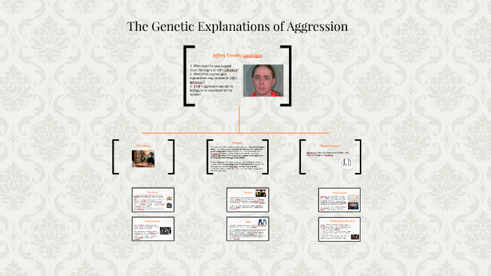 The Genetic Explanation of Aggression by Laura Joynes on Prezi