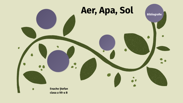Aer, Apa, Sol by Enache Ștefan on Prezi