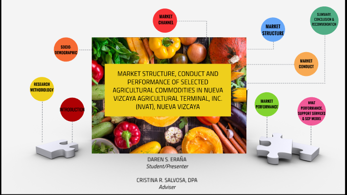 Market Structure, Conduct and Performance of Selected Major ...