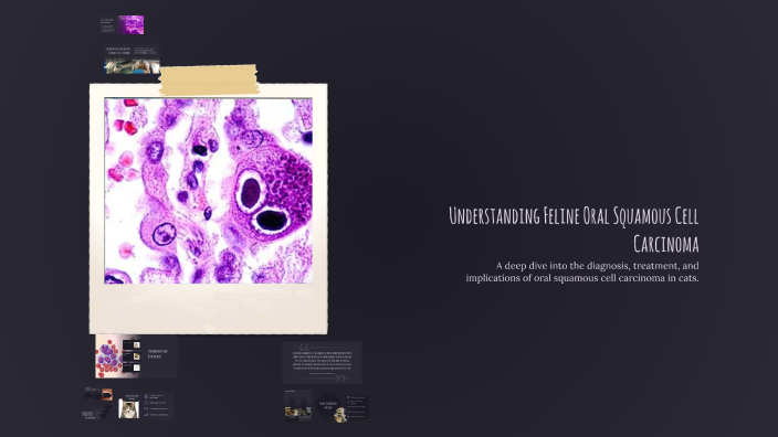 Understanding Feline Oral Squamous Cell Carcinoma by Natalie Grillo on ...