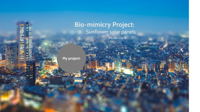 Biomimicry project- Sunflower solar panels: mckenzie butler by McKenzie ...