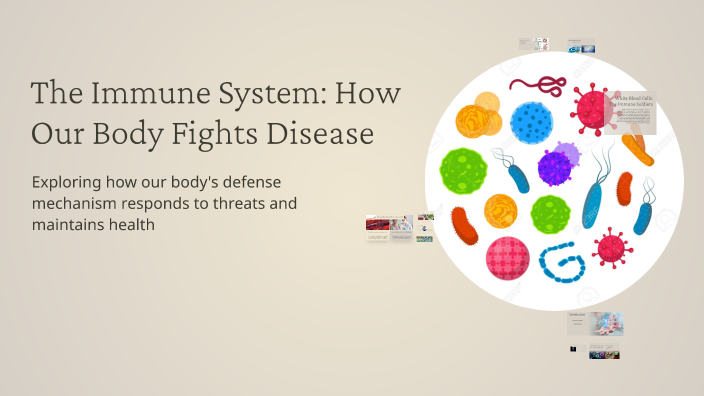 The Immune System: How Our Body Fights Disease by Nhung Tuyết on Prezi