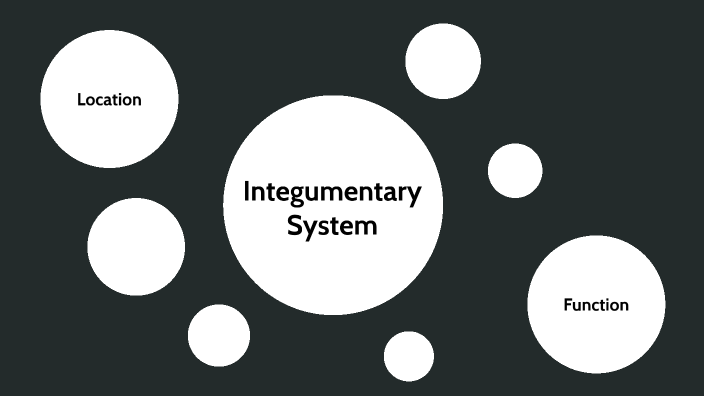 Integumentary Concept Map by Caleb Childress on Prezi