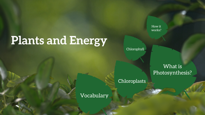 Plants and Energy by Greg Greg on Prezi