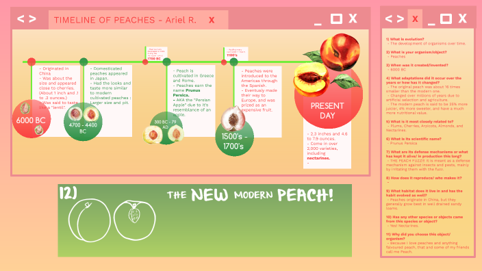 TIMELINE OF PEACHES - Ariel R. by Ariel Richard on Prezi