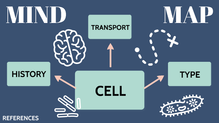 Mind Map by s e on Prezi