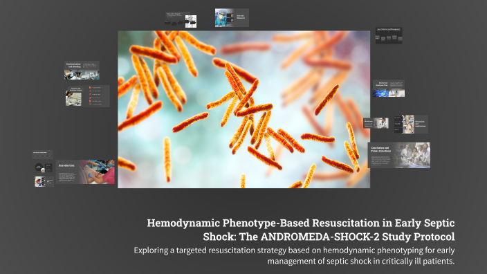 Hemodynamic Phenotype-Based Resuscitation in Early Septic Shock: The ...