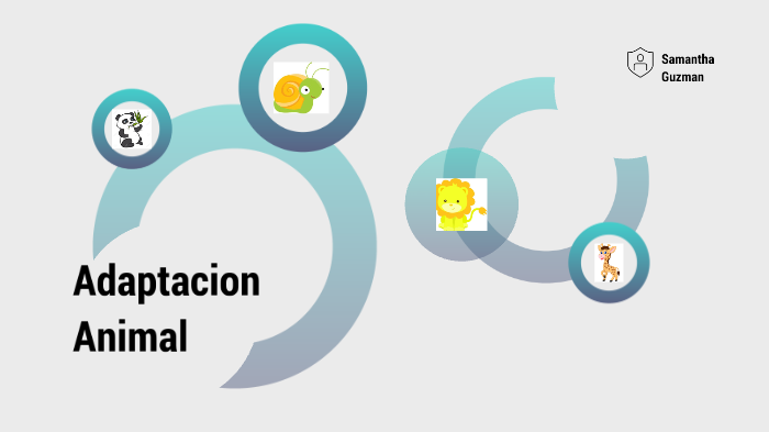 Infografia de adaptación animal by samantha guzman on Prezi