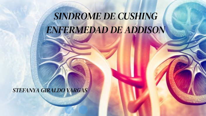 sindrome de cushing y enfermedad de addison by Stefanya Giraldo Vargas ...