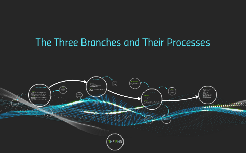 The Three Branches and Their Processes by Taytum McMillian on Prezi