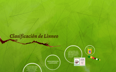 Clasificación de Linneo by Flor Guadalupe Gálmez Ródriguez on Prezi