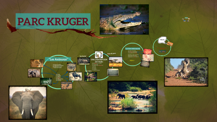 KRUGER PARK by Aiden Roberge on Prezi