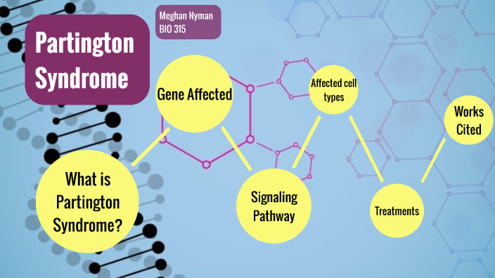 Partington Syndrome by Meghan Nyman on Prezi