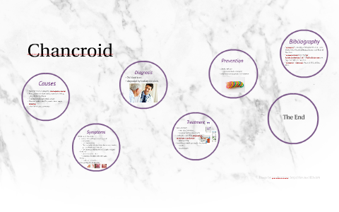 Chancroid by Nika Linn on Prezi
