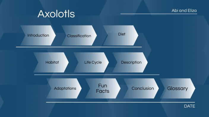 Axolotl Information Report by Eliza on Prezi