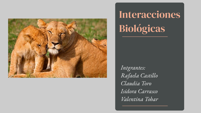 Interacciones Biológicas by valentina tobar on Prezi