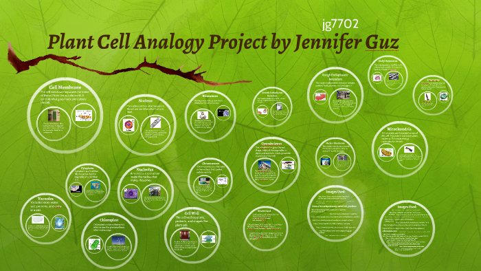 Plant Cell Analogy Project by jg7702 by Jennifer Guz on Prezi