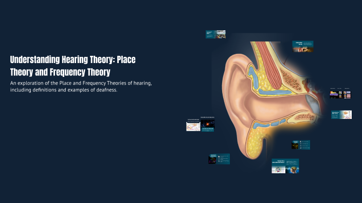 Understanding Hearing Theory: Place Theory and Frequency Theory by alan ...