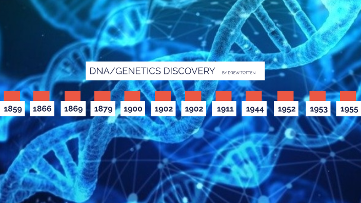 Biology - DNA Discovery Timeline by DREW TOTTEN on Prezi