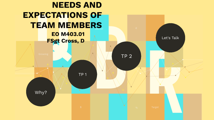 Needs and Expectations of Team Members by David Cross on Prezi