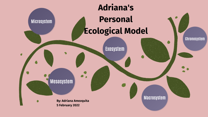 Personal Ecological Model Paper by Adriana Amezquita on Prezi