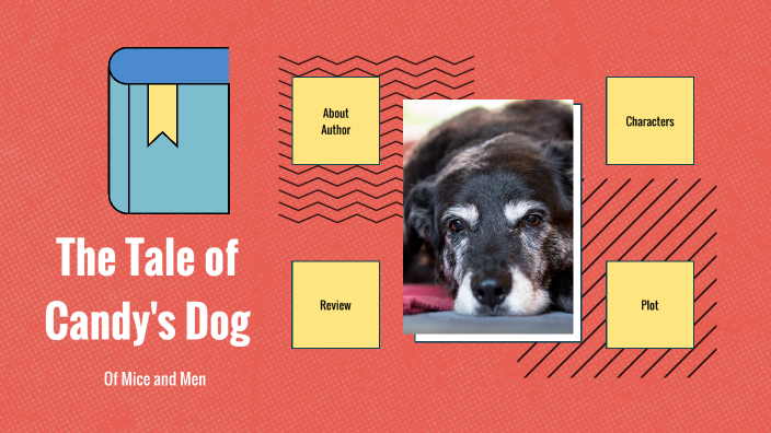 The Tale of Candy's Dog by Damien Shine on Prezi