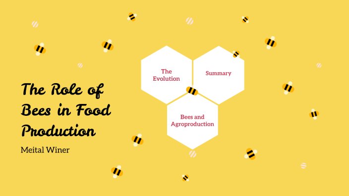 The Role of Bees in Food Production by Meital Winer on Prezi