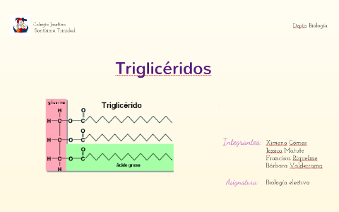 Triglicéridos by Francisca Riquelme on Prezi