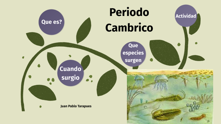 Periodo Cambrico by juan pablo T on Prezi