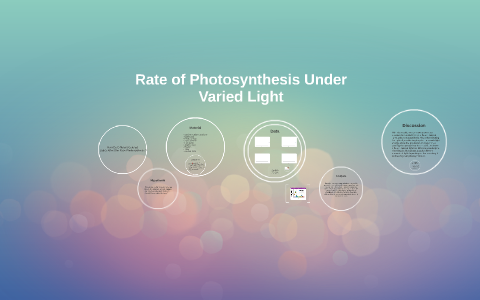 How Do Different Colored Lights Affect Photosynthesis by Anshul Soni on ...
