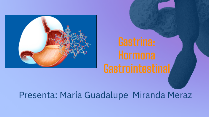 Gastrina: Hormona Gastrointestinal by Maria Guadalupe Miranda Meraz on ...
