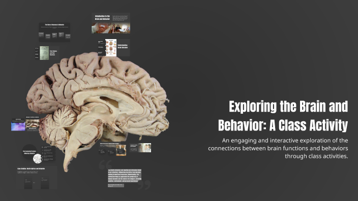 Exploring the Brain and Behavior: A Class Activity by sabahat zareen on ...