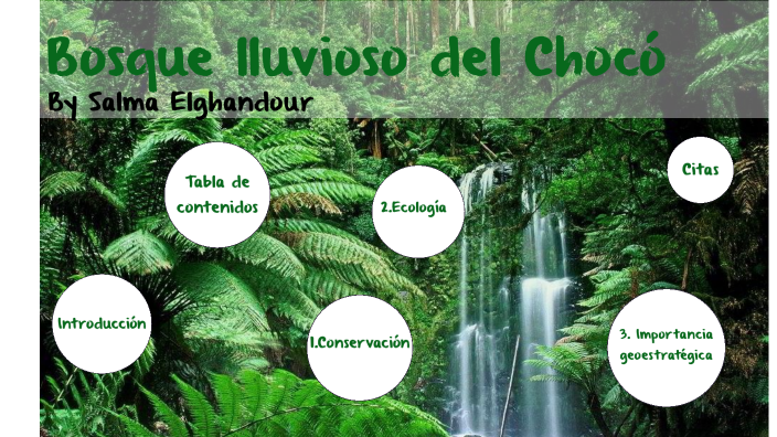 Bosque lluvioso del Chocó by Salma ElGhandour on Prezi
