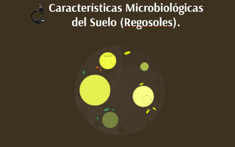 Características Microbiológicas del Suelo (Regosoles). by Eduardo Roque ...