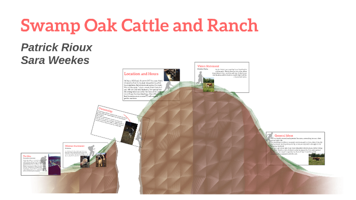 Swamp Oak Cattle and Ranch by Sara Weekes on Prezi