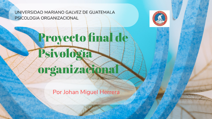 Psicología organizacional by JOHAN MIGUEL HERRERA on Prezi