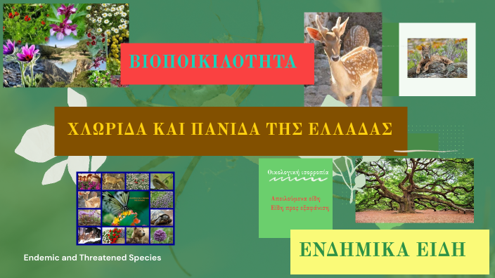 Flora and Fauna of Greece by george george on Prezi