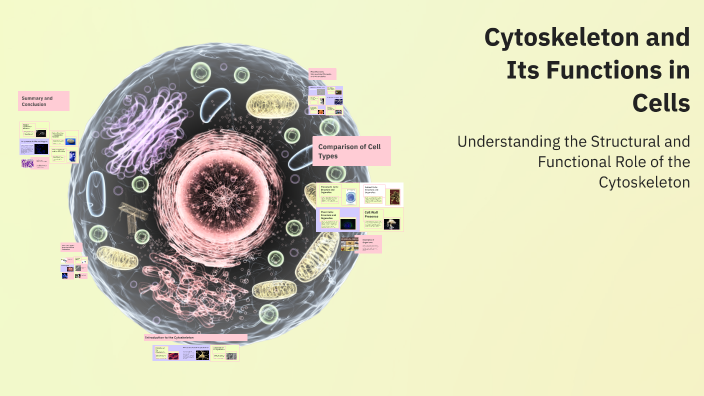Cytoskeleton and Its Functions in Cells by Cody Kollmeyer on Prezi